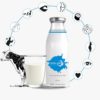 A2 Cow Milk – ActiveMoo